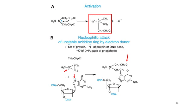 Alkylating agents -Medicinal Chemistry | PDF | Cancer | Diseases and ...