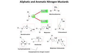 Nitrogen Mustards -Medicinal Chemistry --------College of Pharmacy | PDF