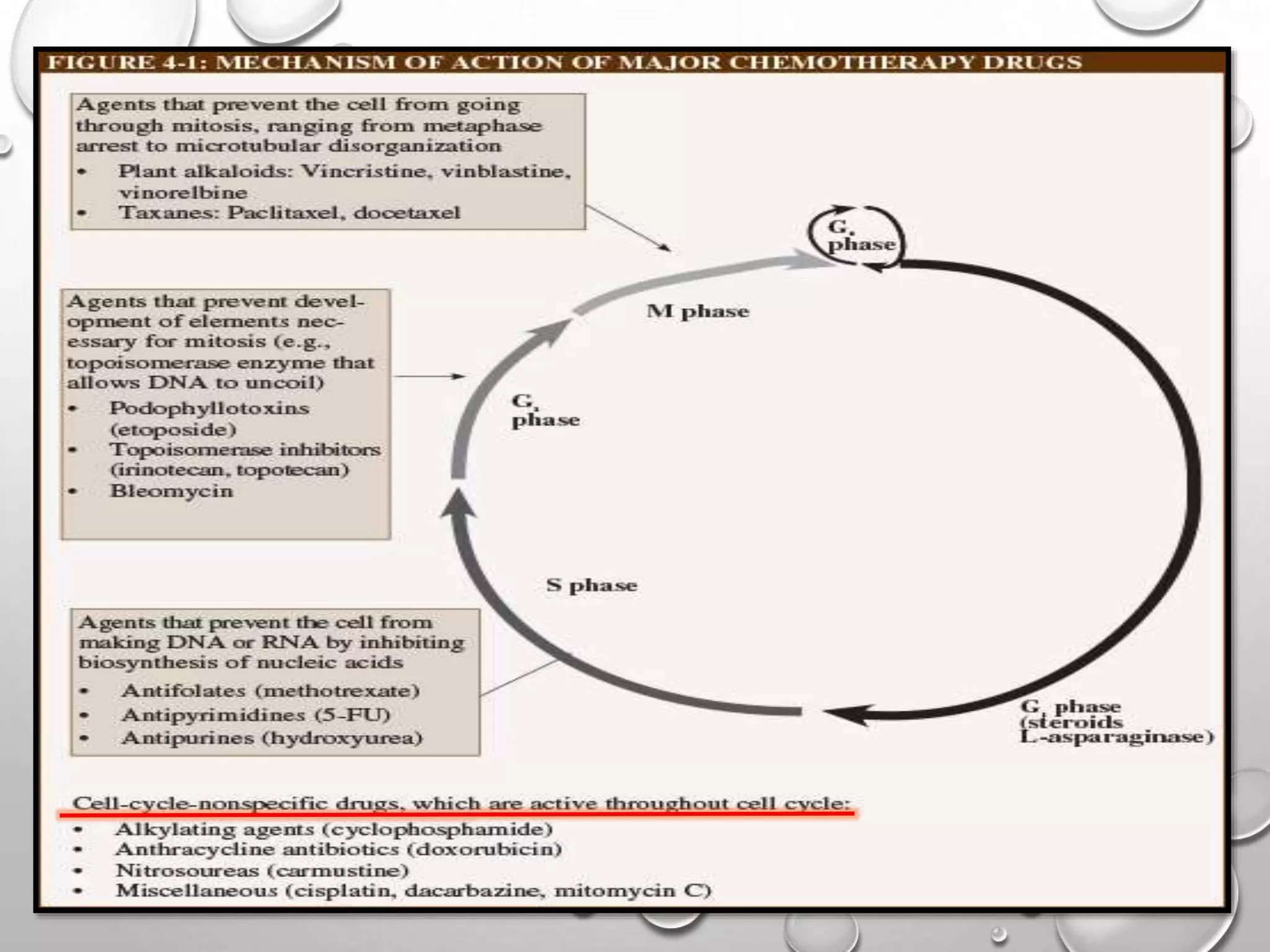 Alkylating Agents & Anti-metabolites Chemotherapy | PPTX