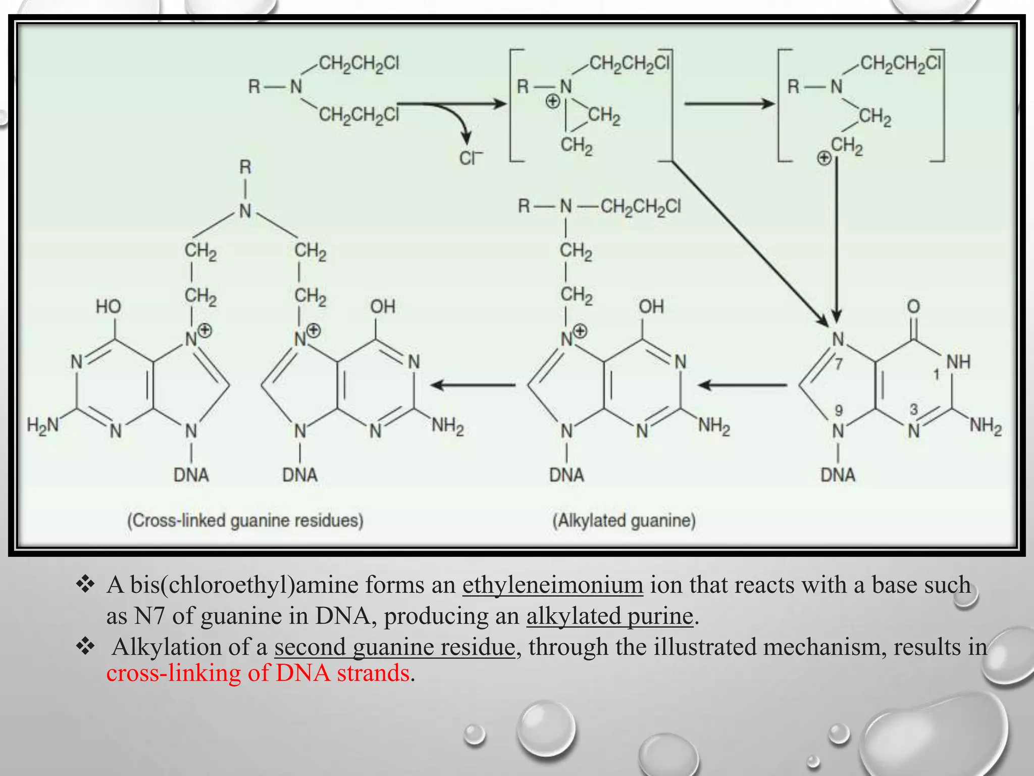 Alkylating Agents & Anti-metabolites Chemotherapy | PPTX