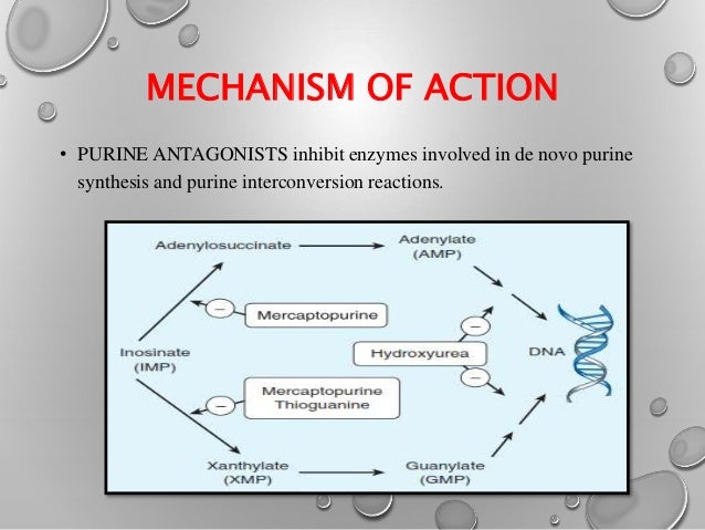 Alkylating Agents & Anti-metabolites Chemotherapy