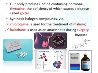 Alkyl halides and alcohols | PDF