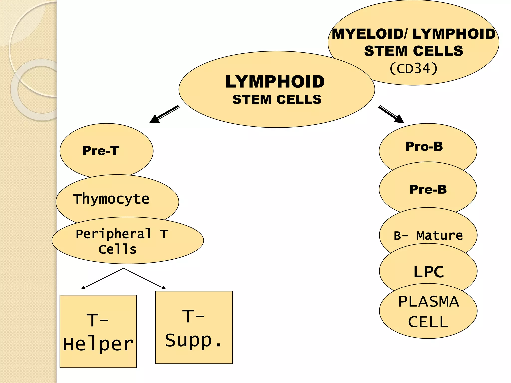 Acute lymphoblastic leukemia approach and treatment | PPTX
