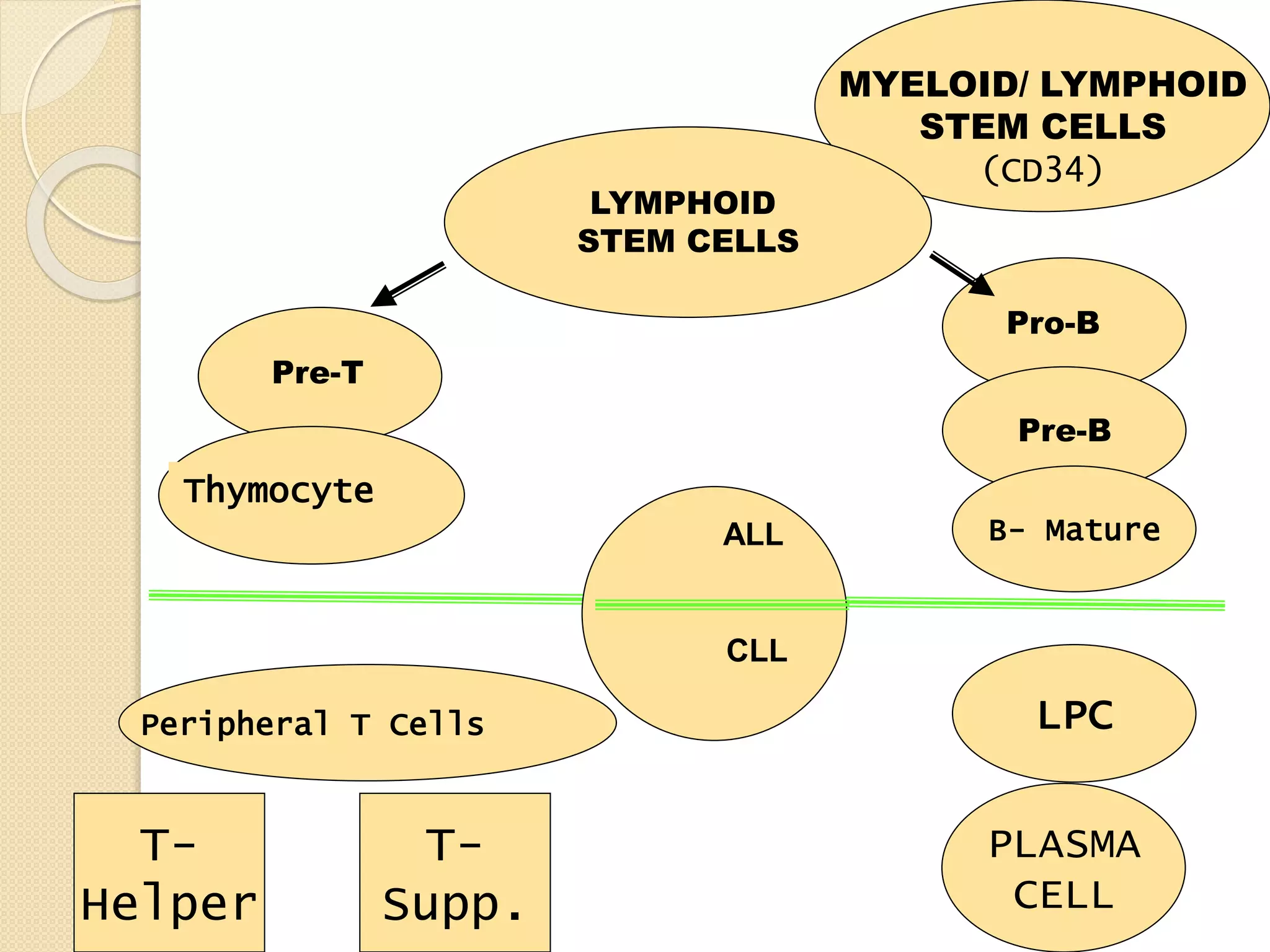 Acute Lymphoblastic Leukemia Approach And Treatment Pptx