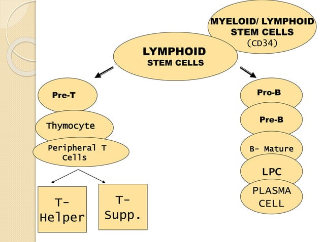 Acute lymphoblastic leukemia approach and treatment | PPTX