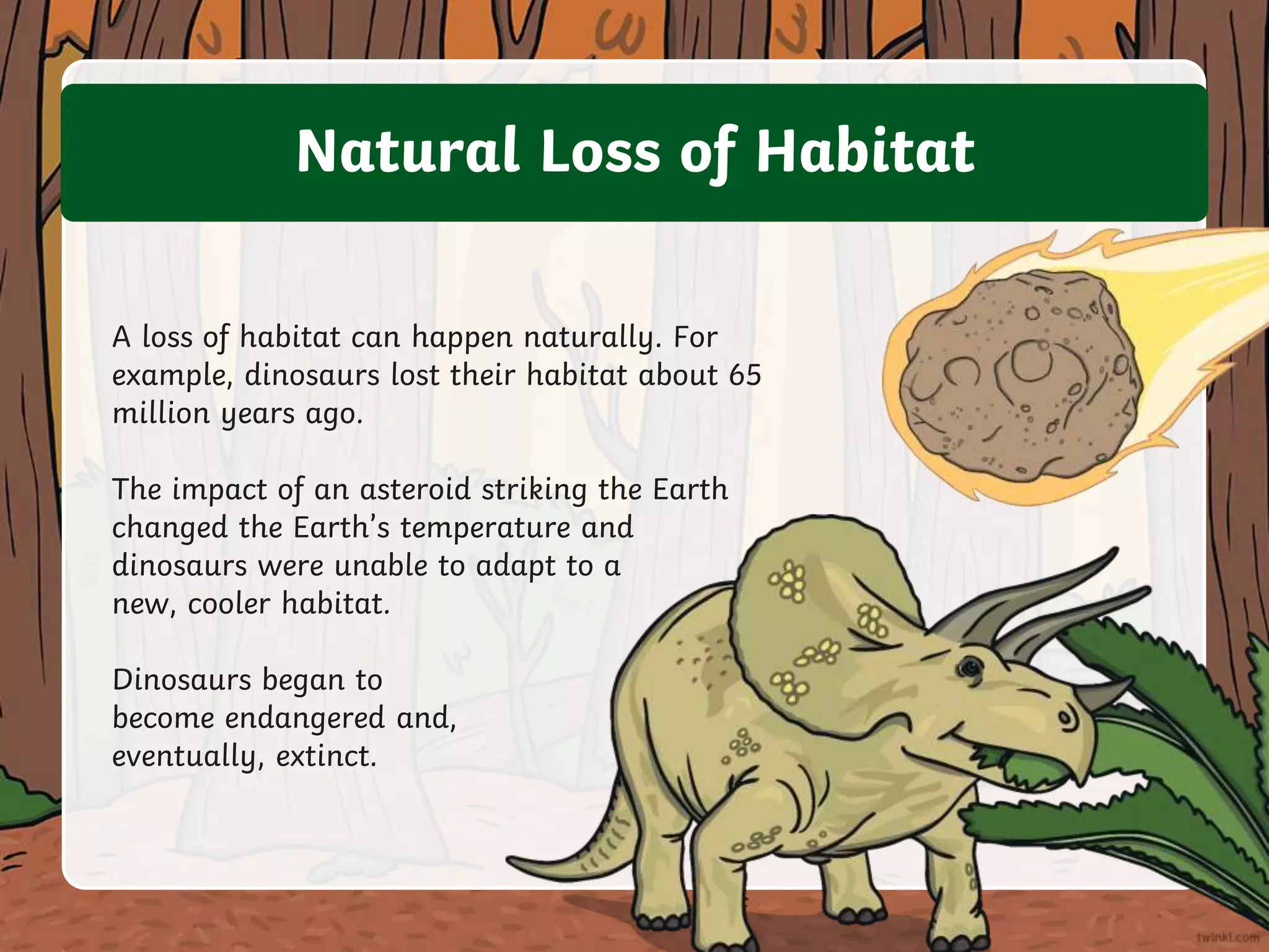 all-about-endangered-species-powerpoint_ver_5.pptx