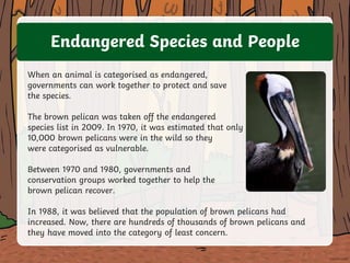 all-about-endangered-species-powerpoint_ver_5.pptx