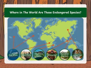 all-about-endangered-species-powerpoint_ver_5.pptx