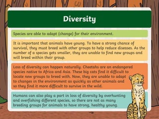 all-about-endangered-species-powerpoint_ver_5.pptx