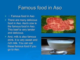 All About Kumamoto | PPT