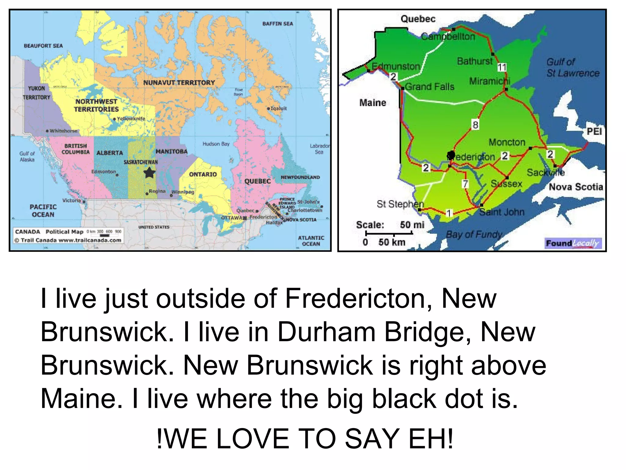 All About Me Tyson | PPT