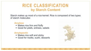 All-About-Rice-Update.pptx