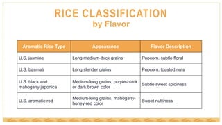 All-About-Rice-Update.pptx