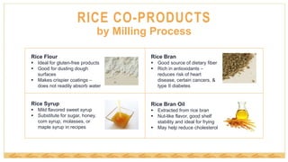 All-About-Rice-Update.pptx