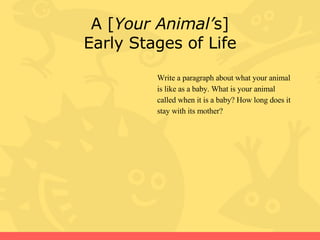 All About [Your Animal] | PPT | Pets