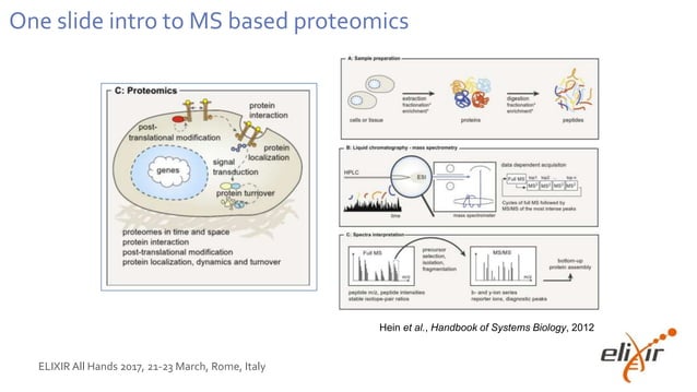Enabling automated processing and analysis of large-scale proteomics data | PPT