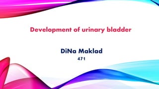Development of Urinary Bladder | PPTX
