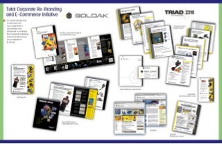 Corporate Transformation Project Examples | PDF
