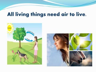 All about air | PPTX