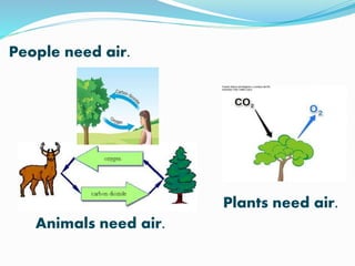 All about air | PPTX