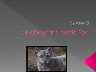 All about Arctic Foxes | PPTX