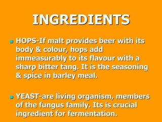 ALL ABOUT BEER | PPT