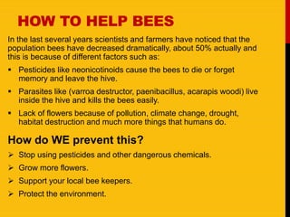 All about bees.pptx