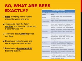 All about bees.pptx
