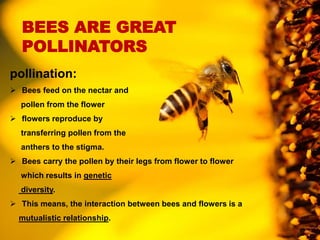 All about bees.pptx