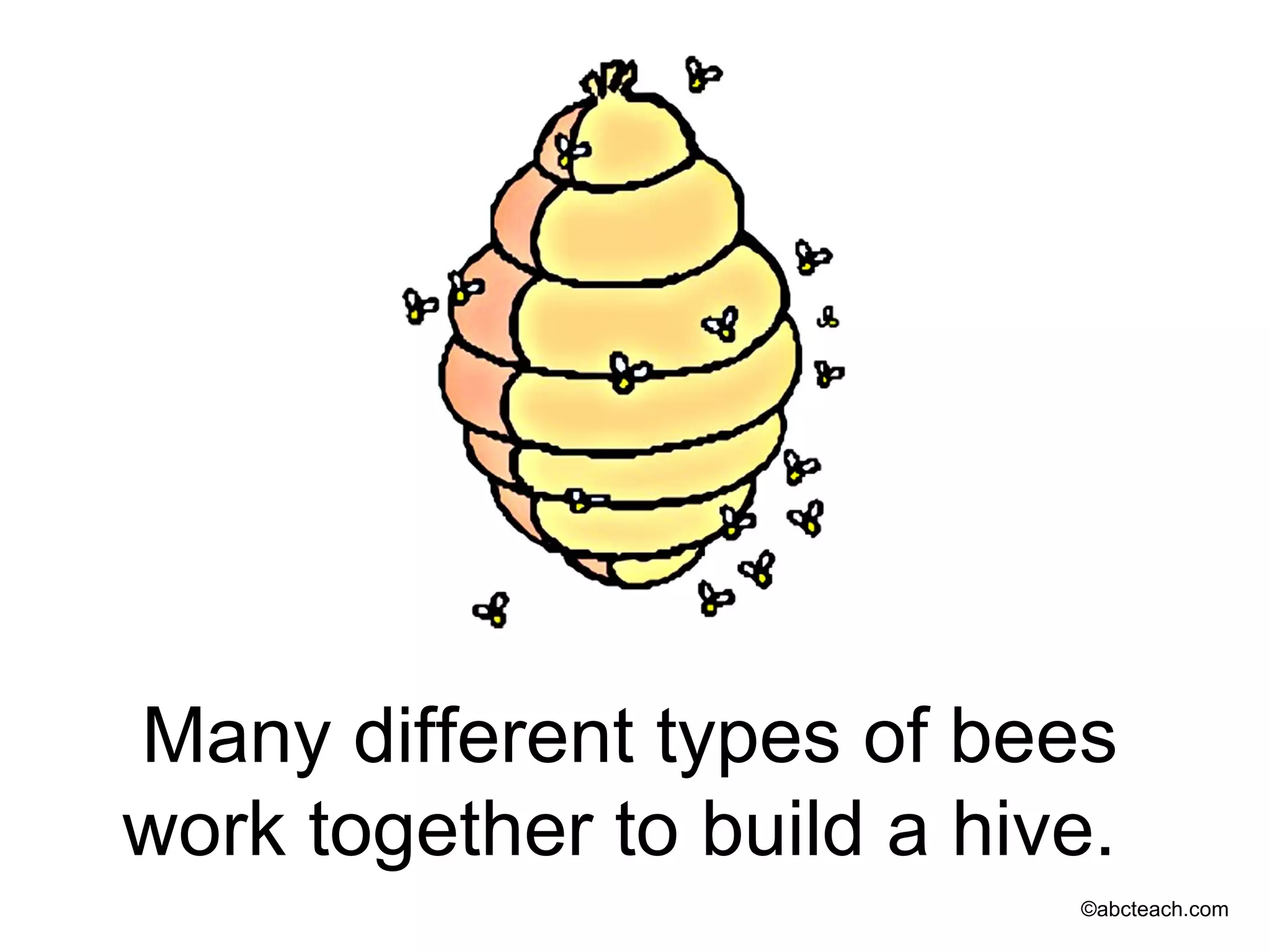 All about bees slideshow | PPT