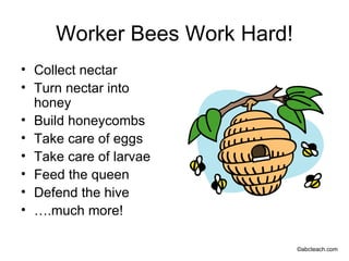 All about bees slideshow | PPT
