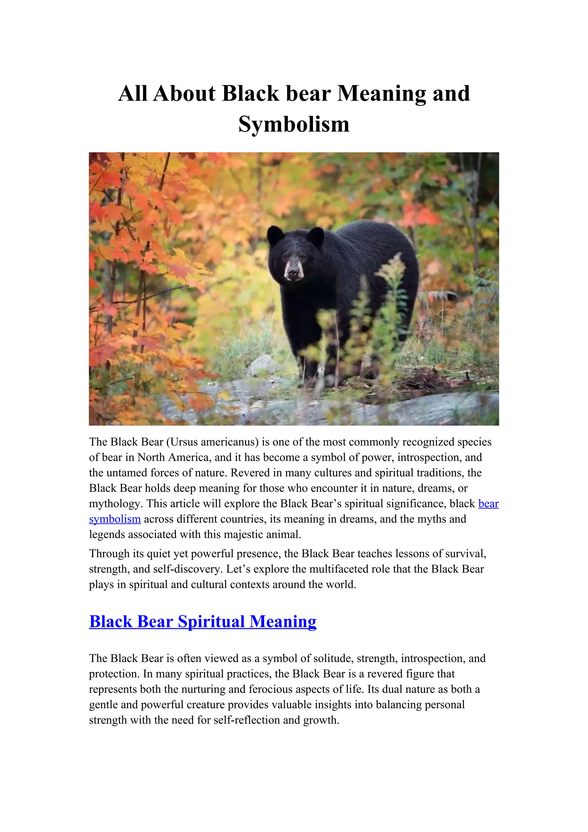 All About Black bear Meaning and Symbolism.docx