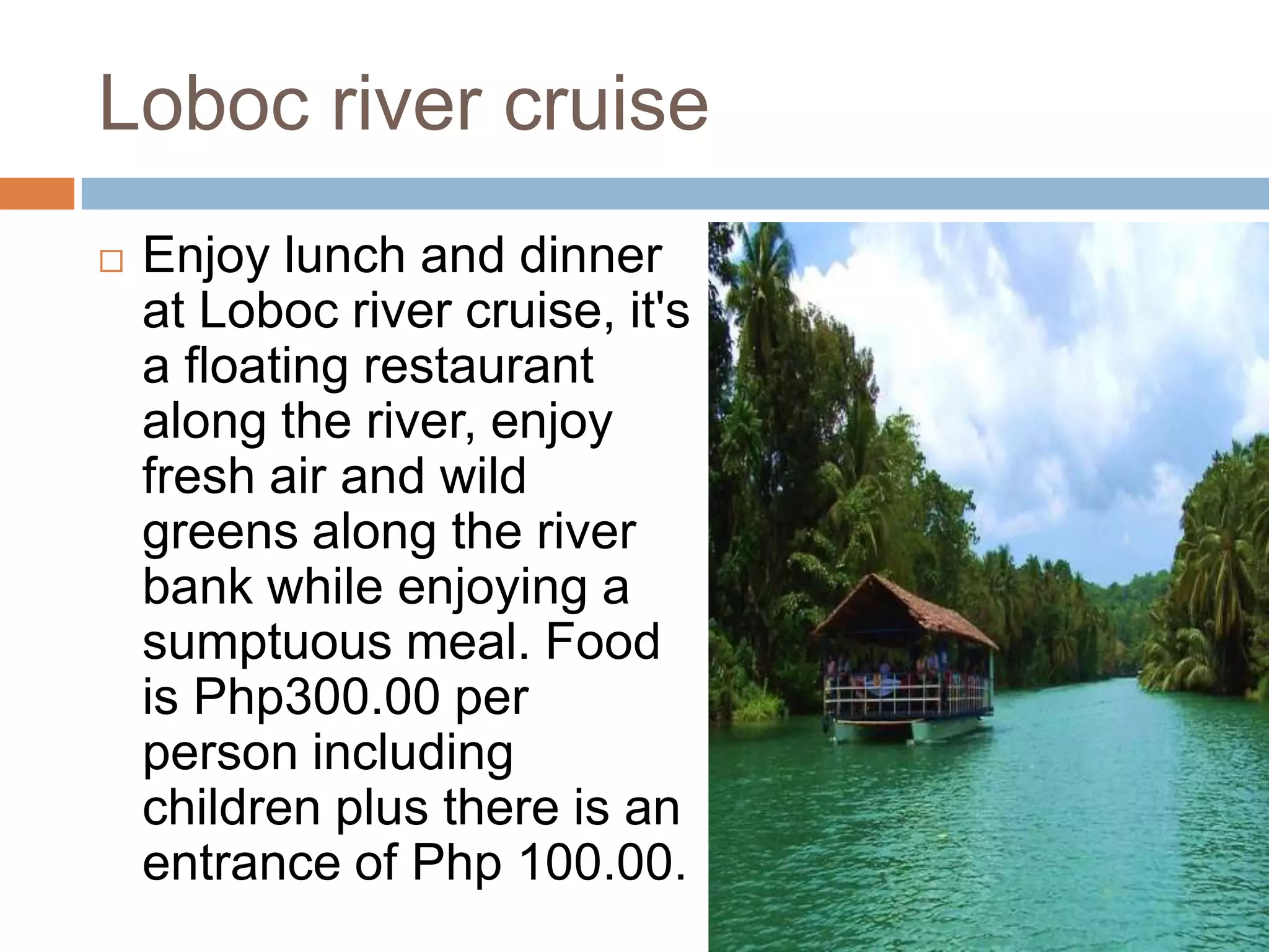 All about bohol, philippines | PPTX