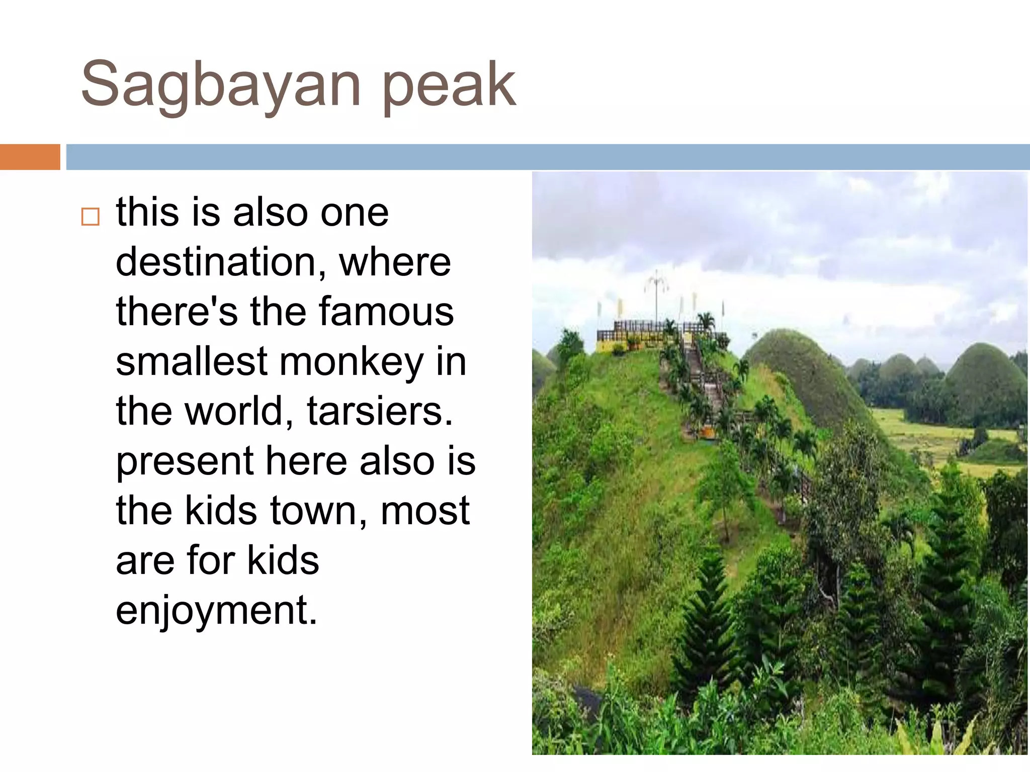 All about bohol, philippines | PPTX