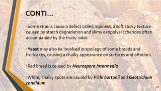 ALL ABOUT BREAD.pdf