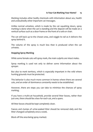 All About Cats | PDF