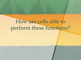 All About Cells | PPTX