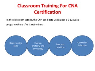 All About Certified Nursing Assistant | PPT