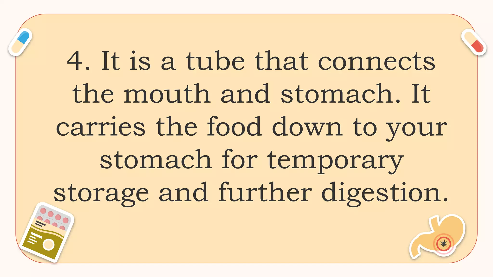 All About Digestion Lesson GRADE 8.pptx
