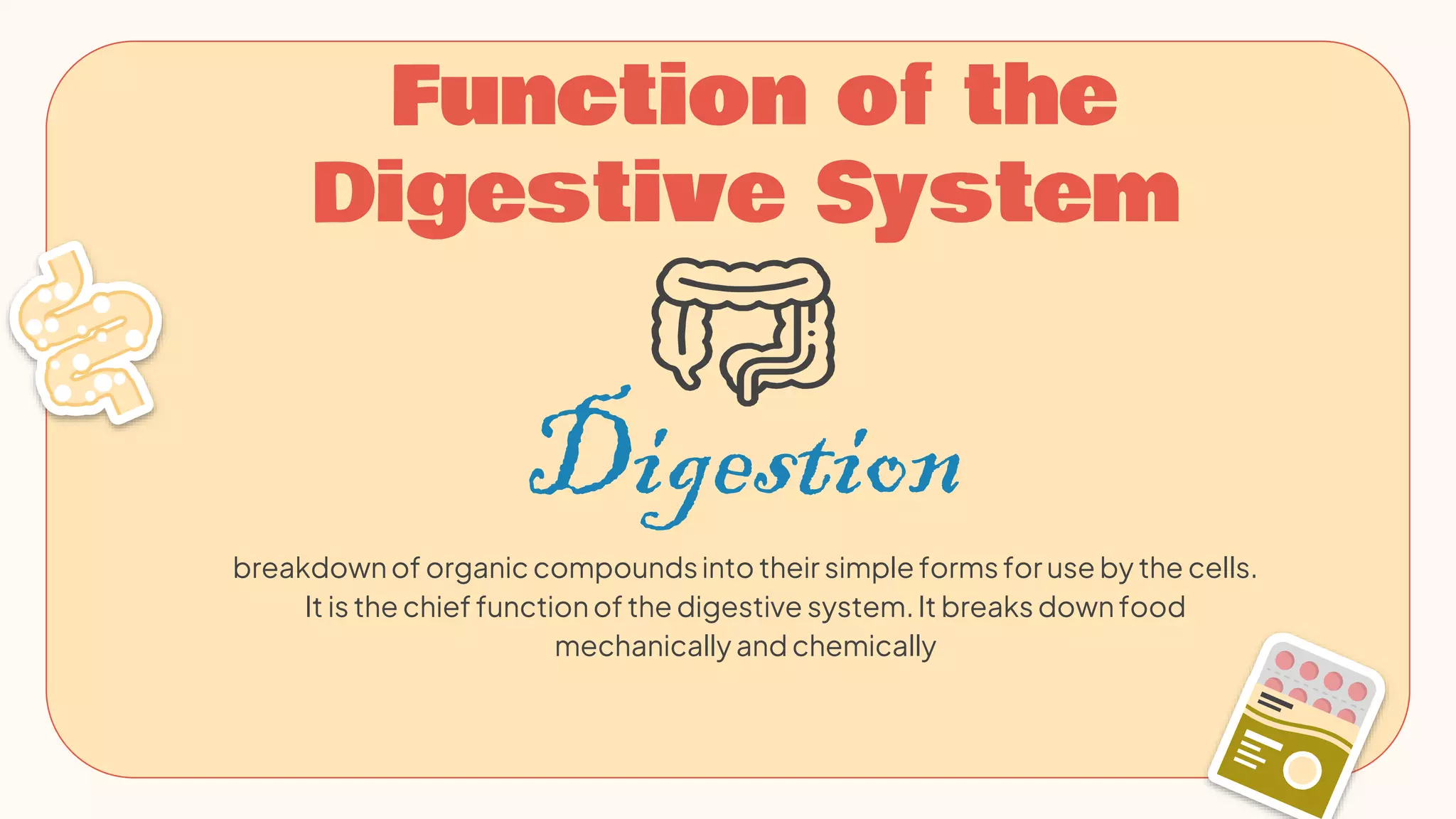 All About Digestion Lesson GRADE 8.pptx