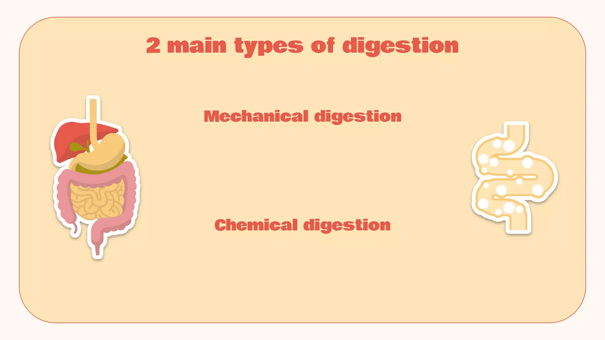 All About Digestion Lesson GRADE 8.pptx