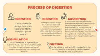 All About Digestion Lesson GRADE 8.pptx