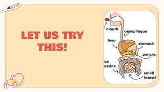 All About Digestion Lesson GRADE 8.pptx