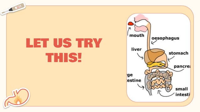 All About Digestion Lesson GRADE 8.pptx | Digestive Disorders ...