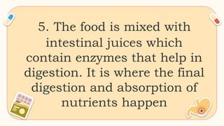 All About Digestion Lesson GRADE 8.pptx