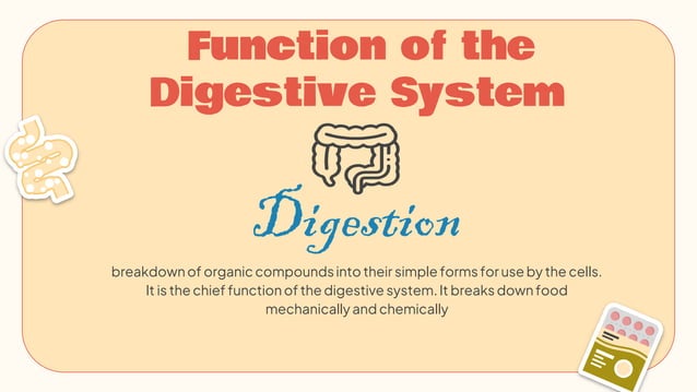 All About Digestion Lesson GRADE 8.pptx | Digestive Disorders ...