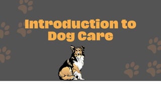 all about dogs.pdf