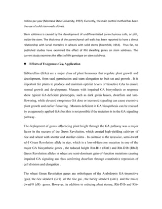 All about dwarfing genes in wheat | DOC
