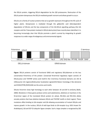All about dwarfing genes in wheat | DOC