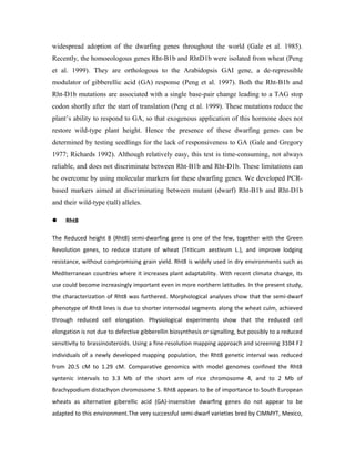 All about dwarfing genes in wheat | DOC